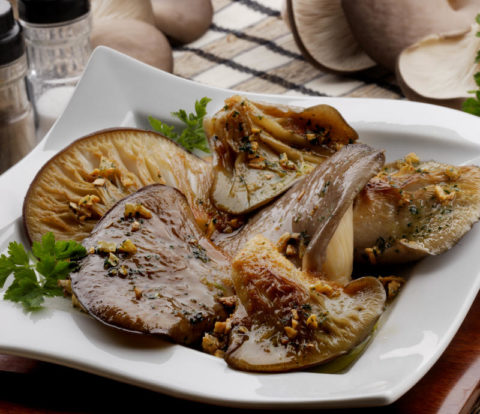 Setas a la plancha - Eurochamp